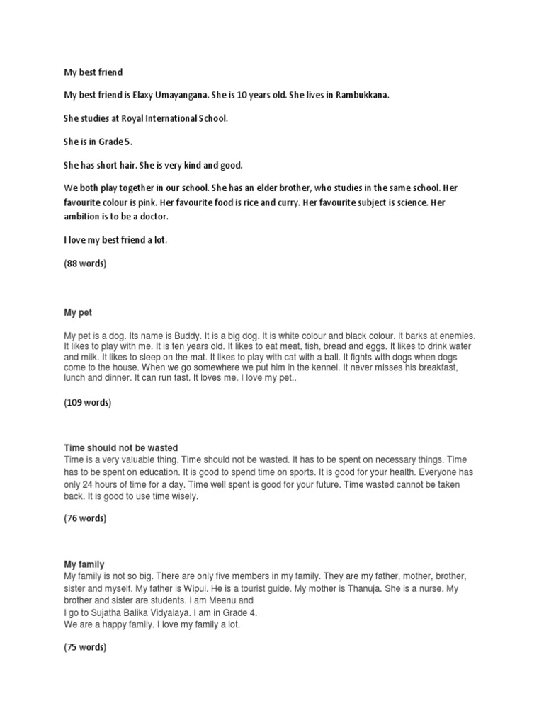 Grade 5 Essays | PDF