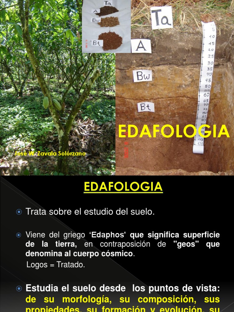 Edafologia Clase 1 | PDF | Suelo | Meteorización