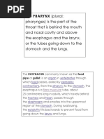Sea Turtle Digestive System Anatomy | PDF | Gastrointestinal Tract ...