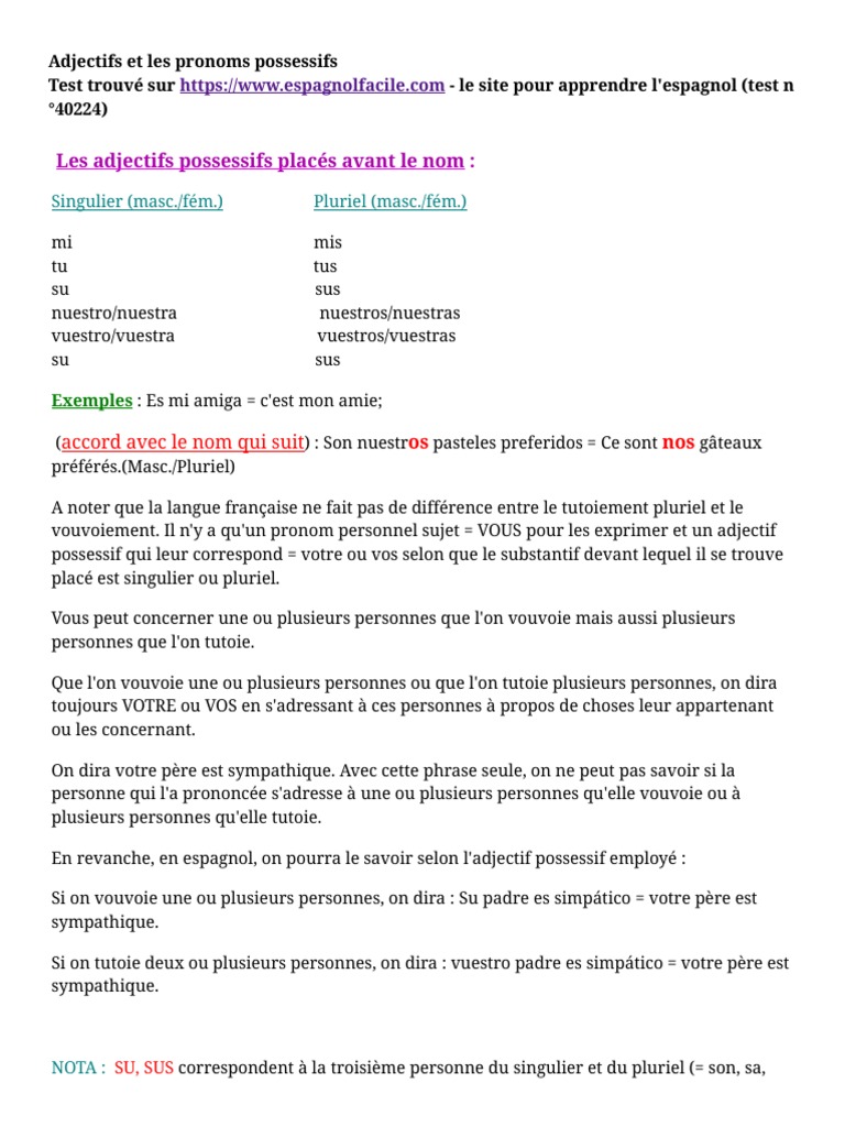 Adjectifs Et Les Pronoms Possessifs | PDF | Nombre grammatical ...