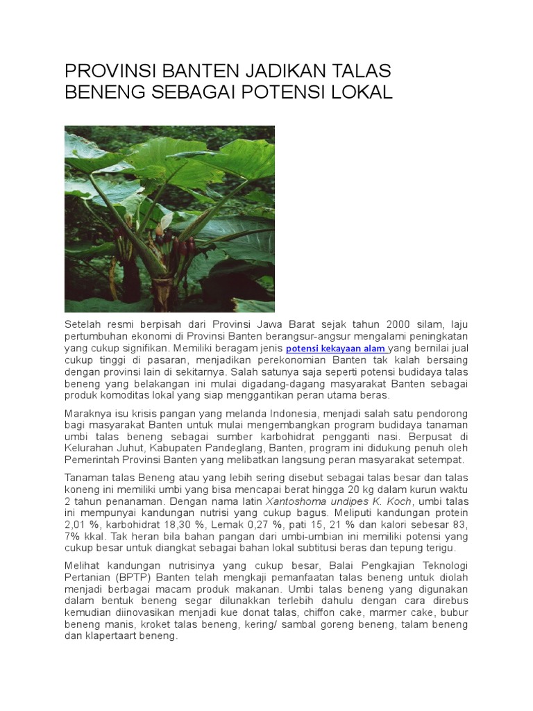Talas Beneng | PDF