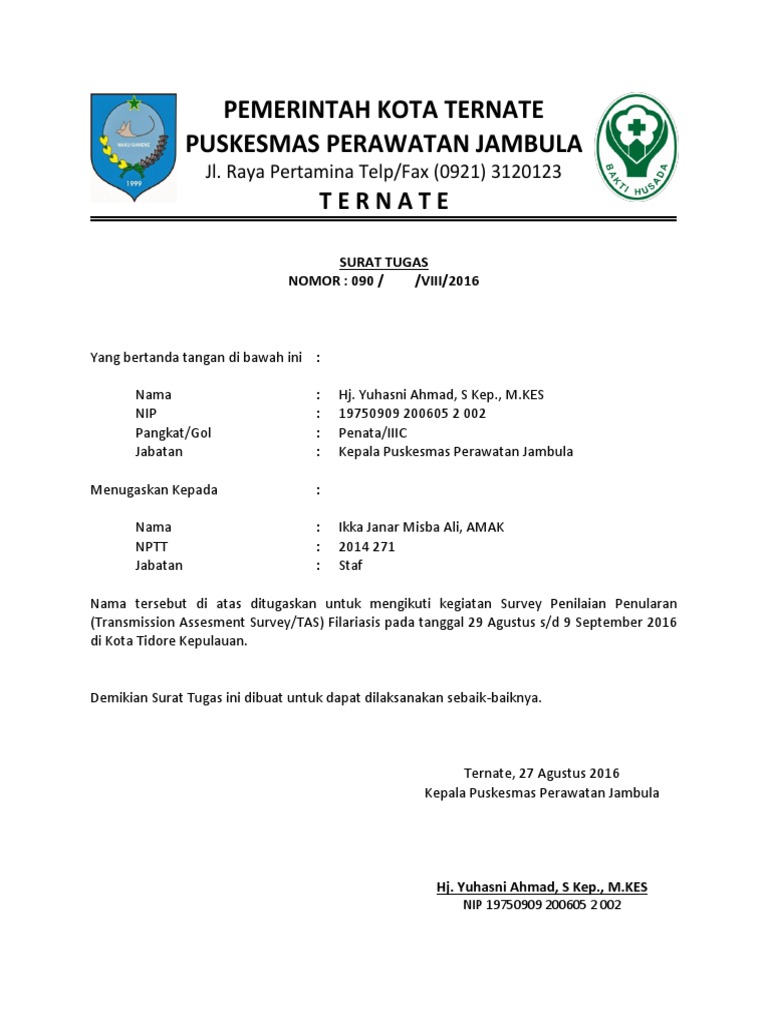 Surat Tugas N SKD | PDF