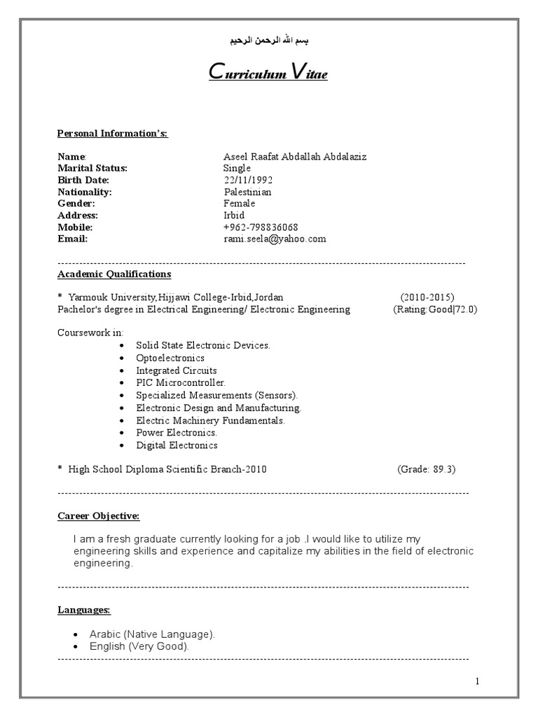 Aseel CV | PDF | Electronics | Engineering