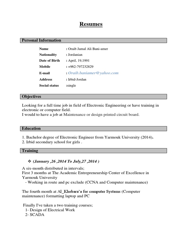Electronic Engineer CV | PDF | Electronic Engineering | Computing