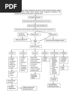 WOC Trauma Medulla Spinalis | PDF