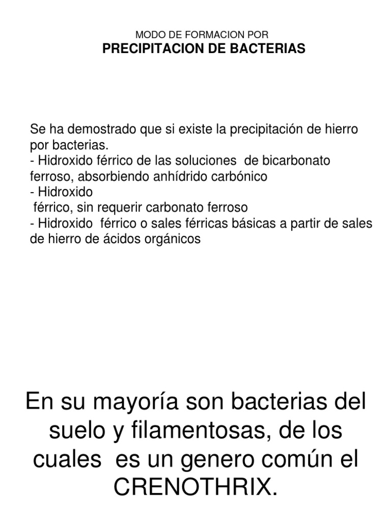 Clase de Crenothrix- 2016 | Hierro | Las bacterias