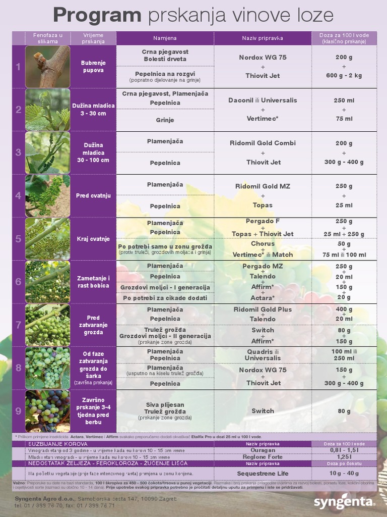Program Prskanja Vinove Loze 2013 | PDF