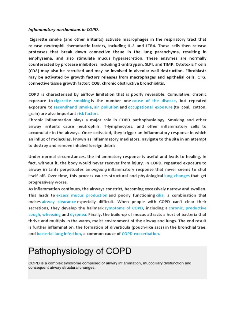 Inflammatory Mechanisms in COPD | PDF | Respiratory Tract | Inflammation