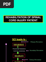 ASIA Impairment Scale for Spinal Injury | PDF | Anatomical Terms Of ...