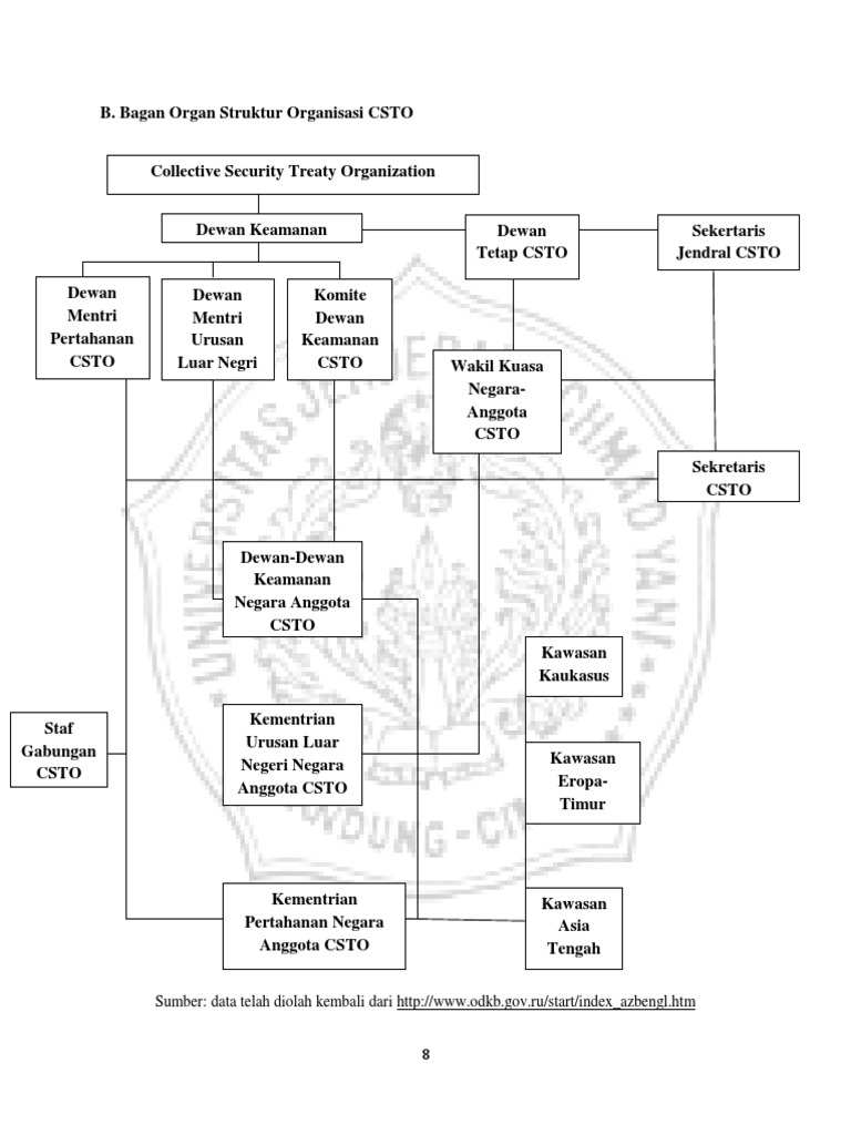 Struktur Organisasi CSTO dan Fungsinya | PDF