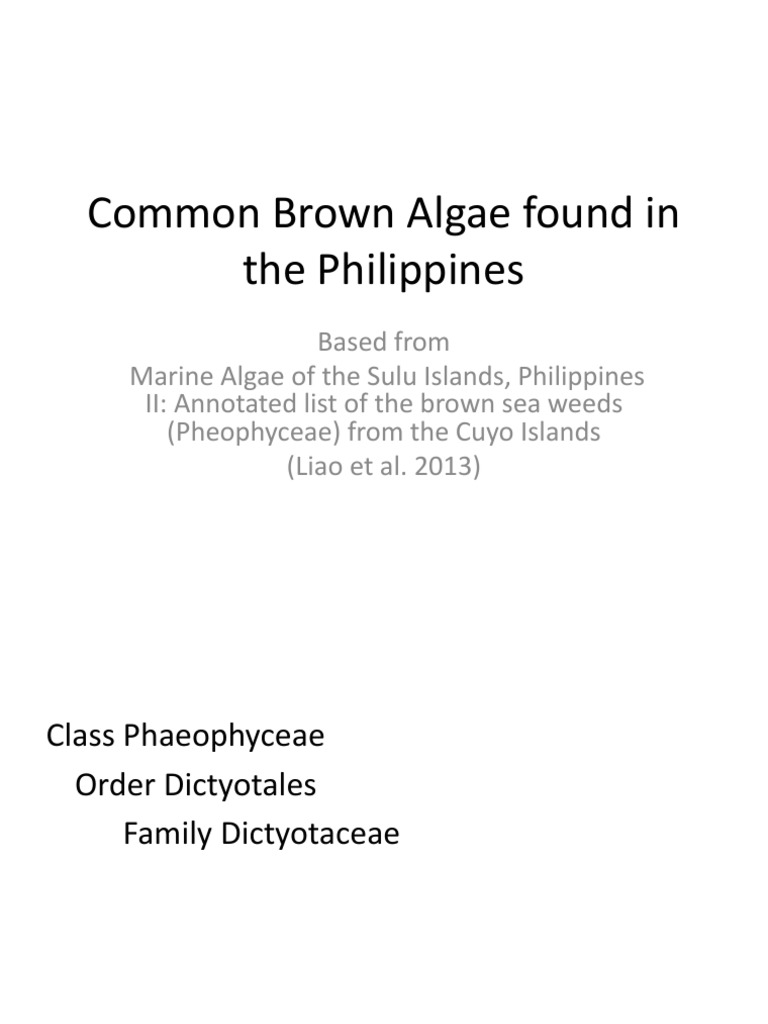 Common Brown Algae of the Philippines: A Review of Dictyotales, Fucales ...
