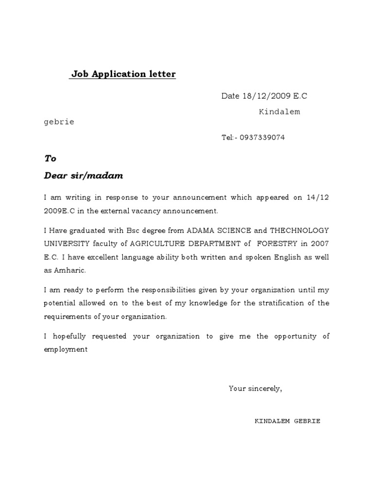 Job Application Letter: Kindalem Gebrie | PDF