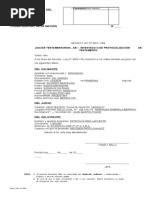 Formulario 3003 Civil | PDF