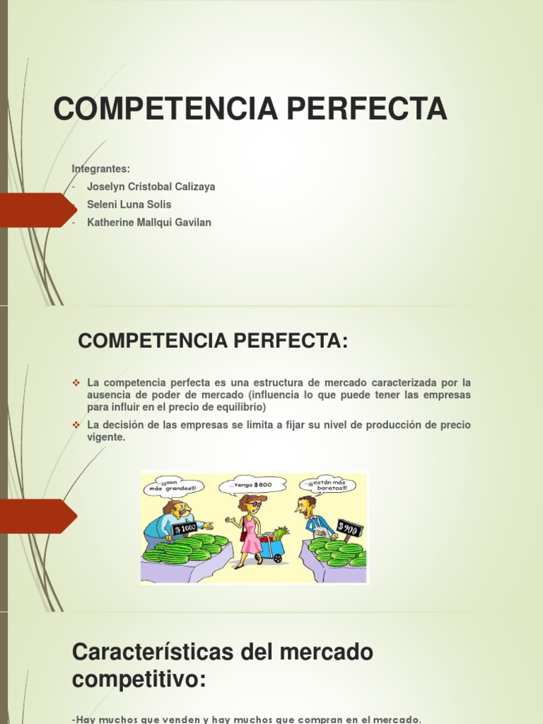 Análisis de una competencia perfecta en el mercado | PDF | Competencia ...