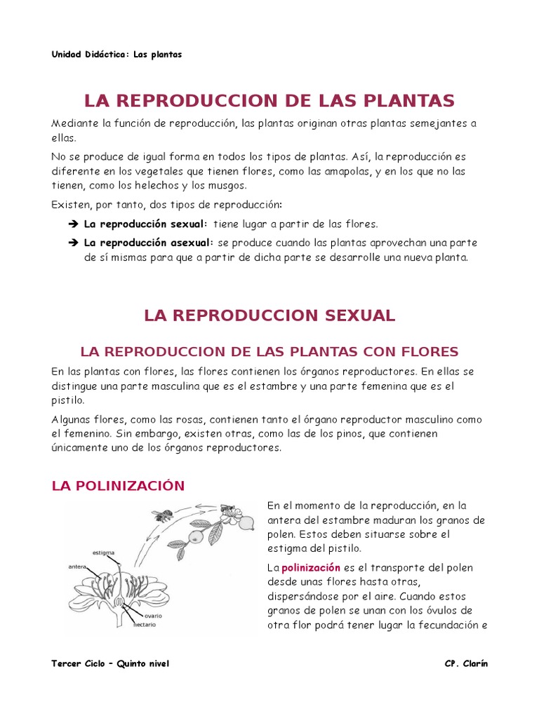 Reproducción de Plantas: Guía Completa | PDF | Flores | Germinación