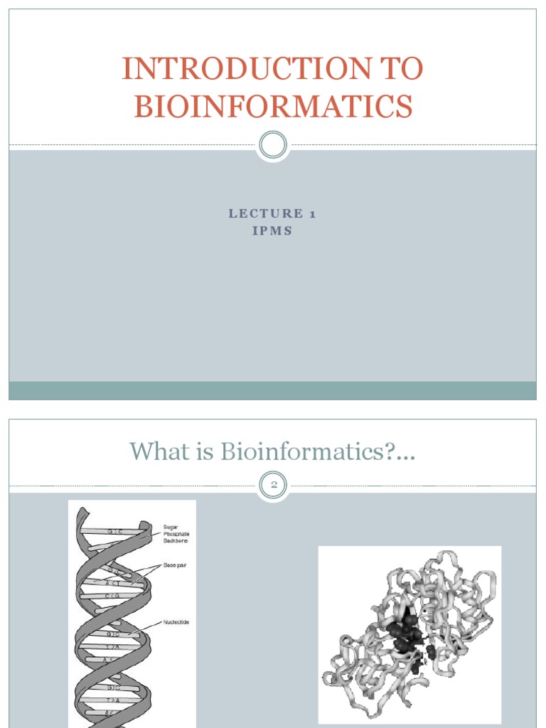 Introduction To Bioinformatics | PDF | Rna | Bioinformatics