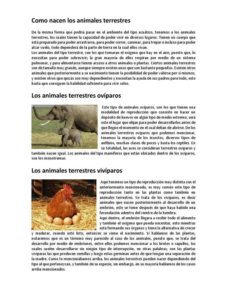 Como Nacen y Que Comen Los Animales Terrestres | PDF | Primavera árabe ...