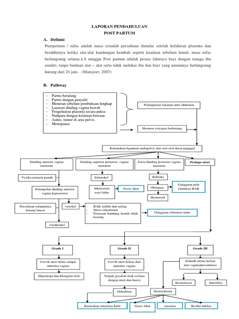 LP Prolapsus Uteri | PDF