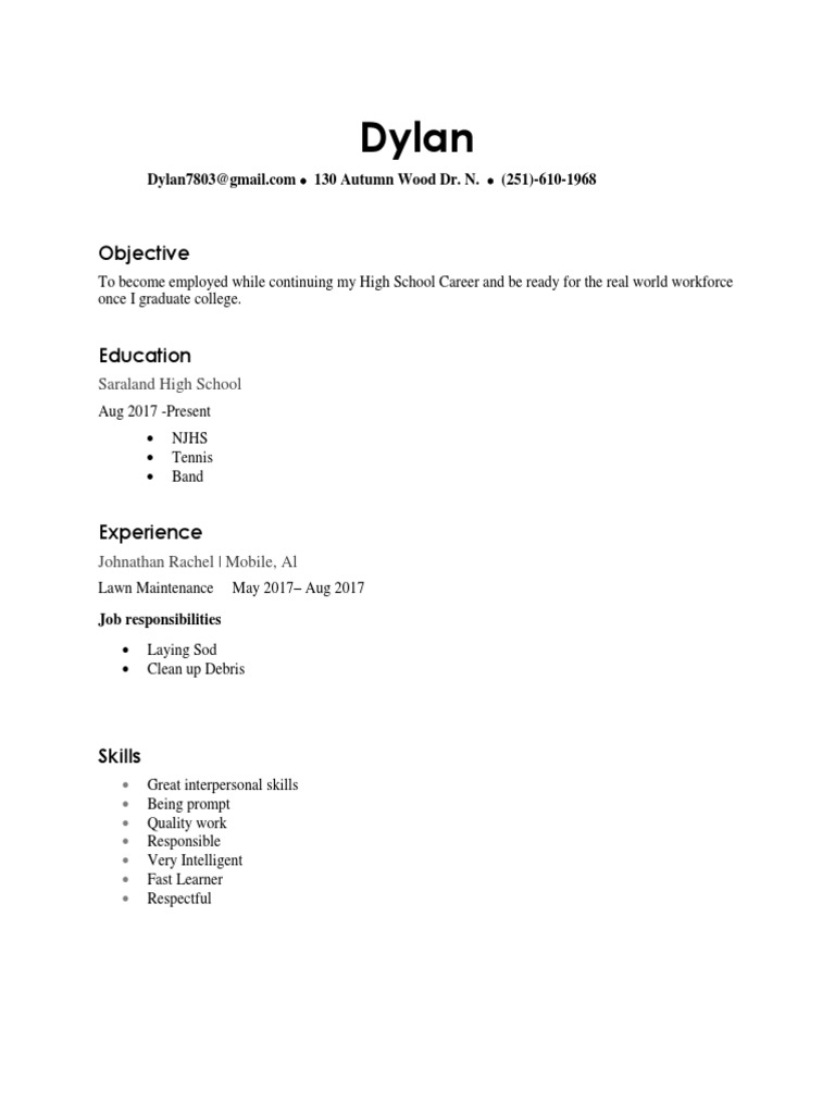 Dylan Resume | PDF | Career & Growth