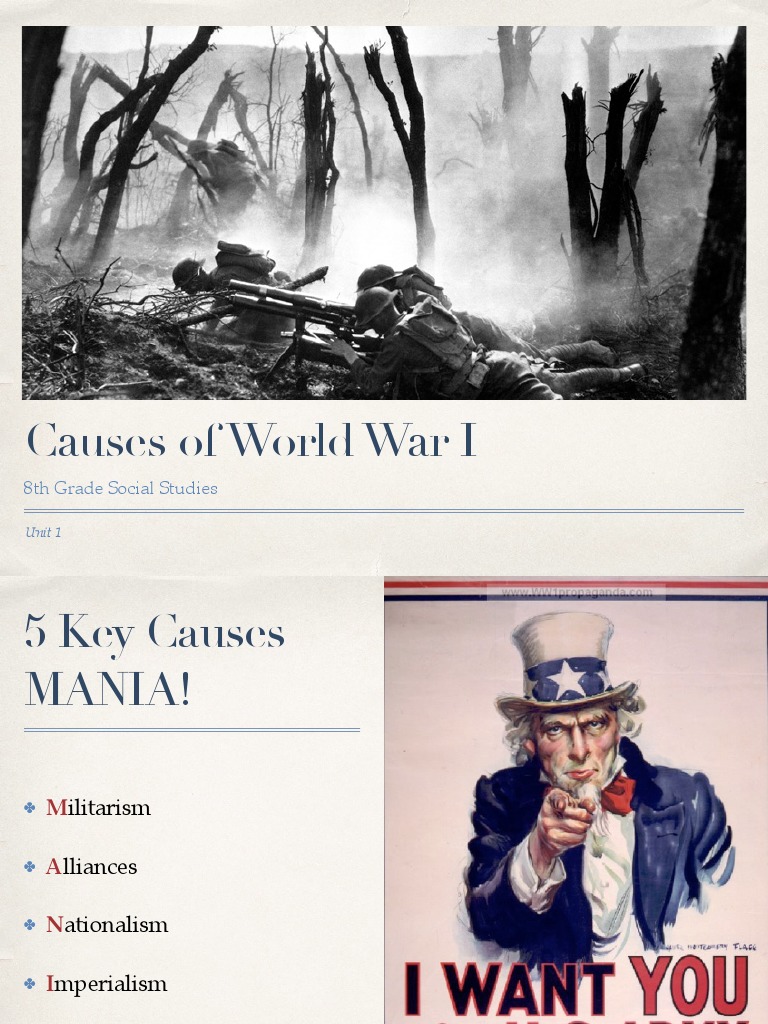 Causes of Wwi | PDF | Europe Travel | Conflicts