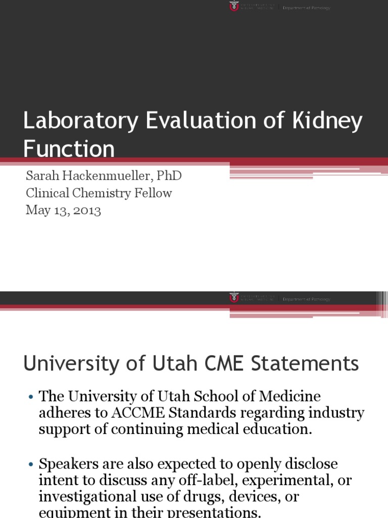 Kidney Function | PDF | Renal Function | Creatinine