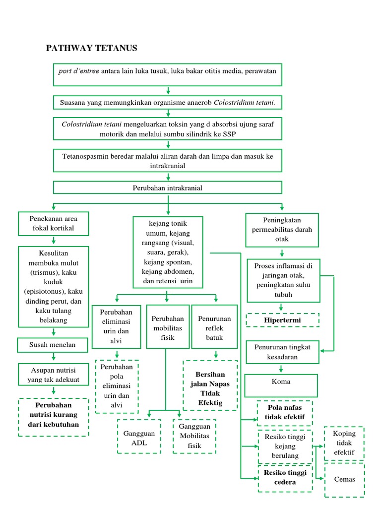Pathway Tetanus | PDF