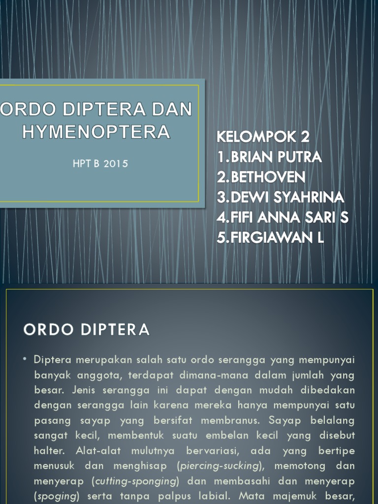 Ciri dan Contoh Ordo Diptera | PDF | Sains & Matematika