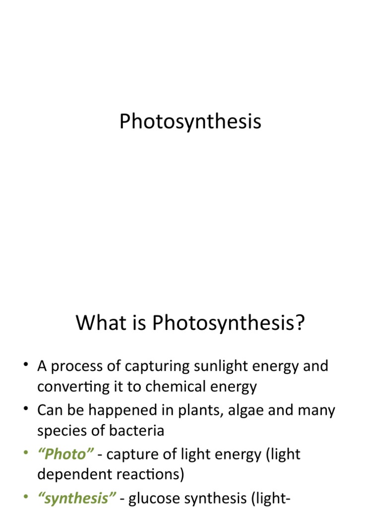 Photosynthesis Assignment | PDF