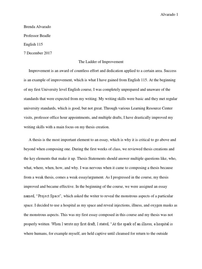 final portfolio preface essay | Essays | Thesis