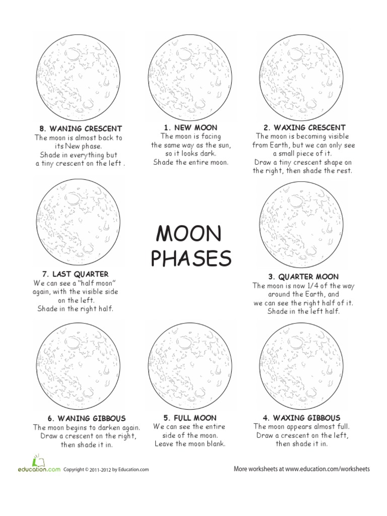 8 Moon Phases Printables