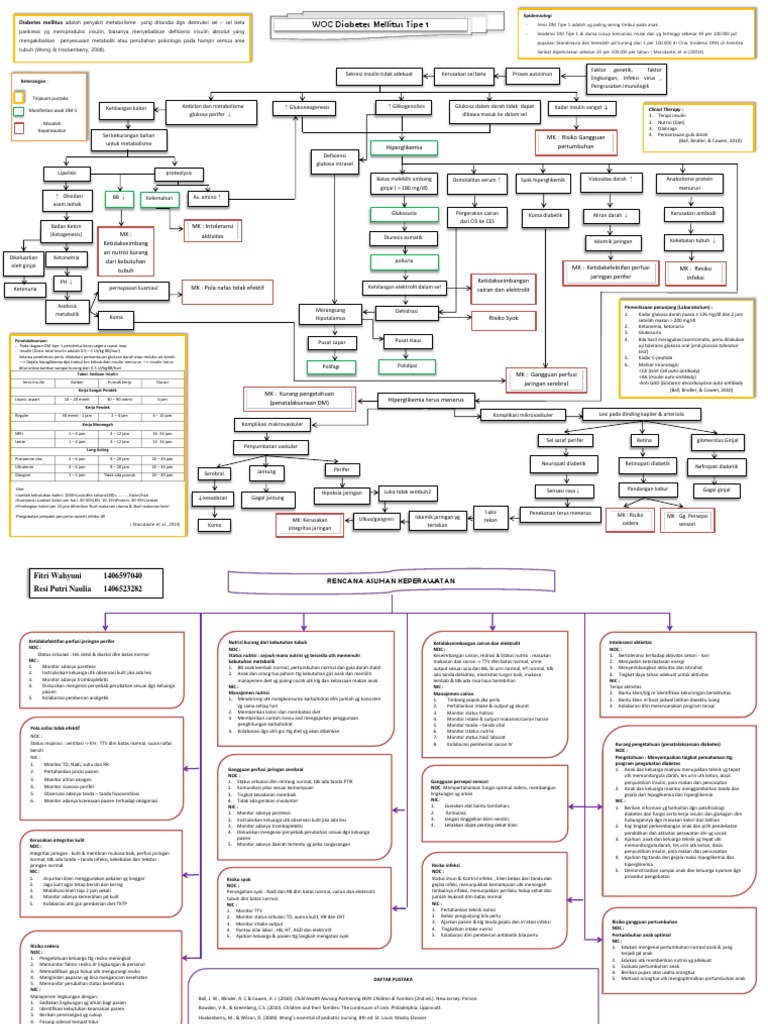 WOC Diabetes Melitus | PDF