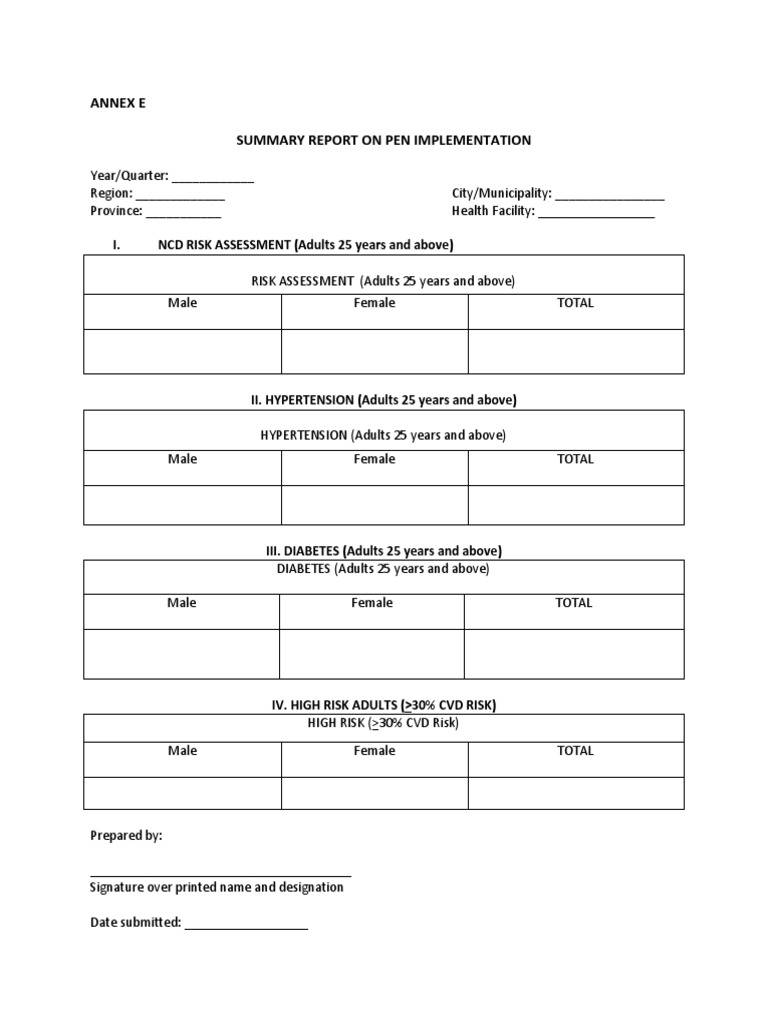 Summary Report On Pen Implementation | PDF