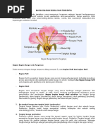 Bagian Bagian Pada Bunga Lengkap Dengan Fungsi Dan Penjelasannya | PDF