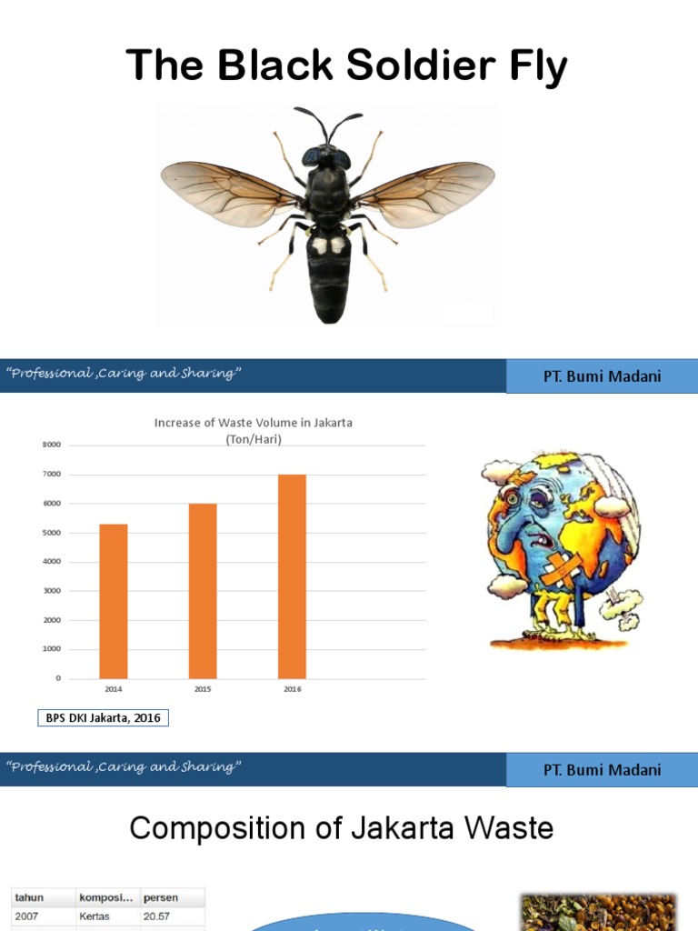 The Black Soldier Fly Project | PDF | Platinum | Nature