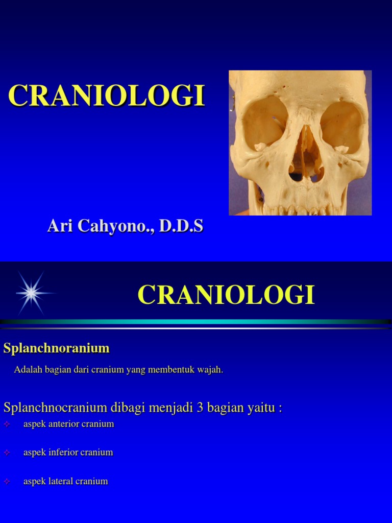 2 Splanchnocranium | PDF
