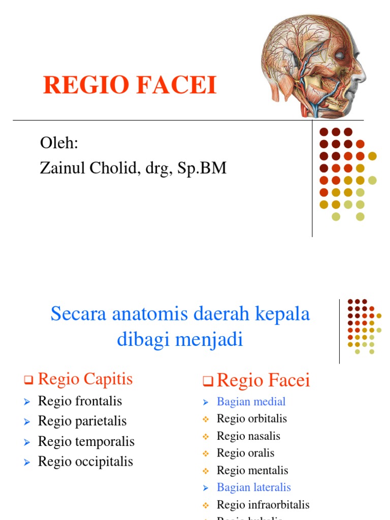 Anatomi Facei | PDF