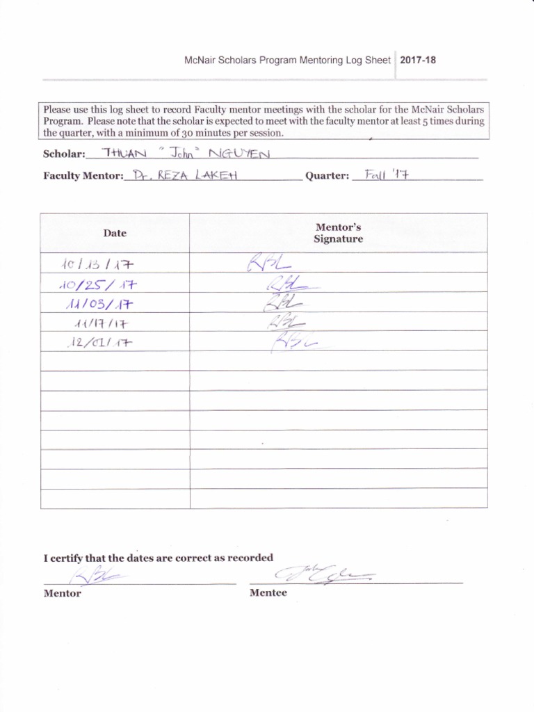Mentoring Log Sheet | PDF