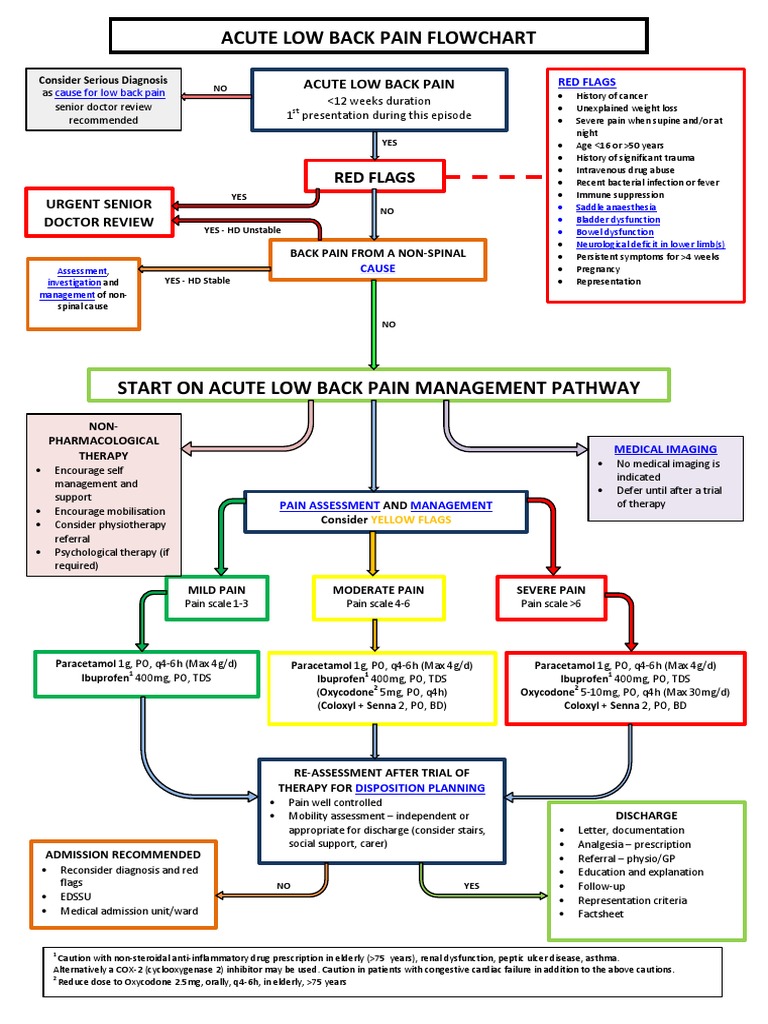 Acute Low Back Pain Management Flowchart | PDF | Low Back Pain | Back Pain