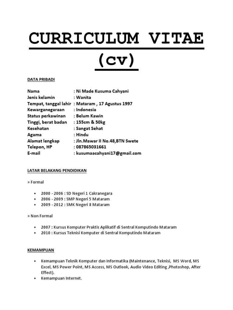 Curriculum Vitae Yani | PDF