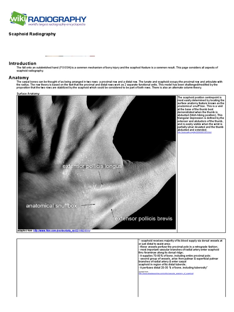 Scaphoid X-Ray Positioning Techniques | PDF | Thumb | Limbs (Anatomy)