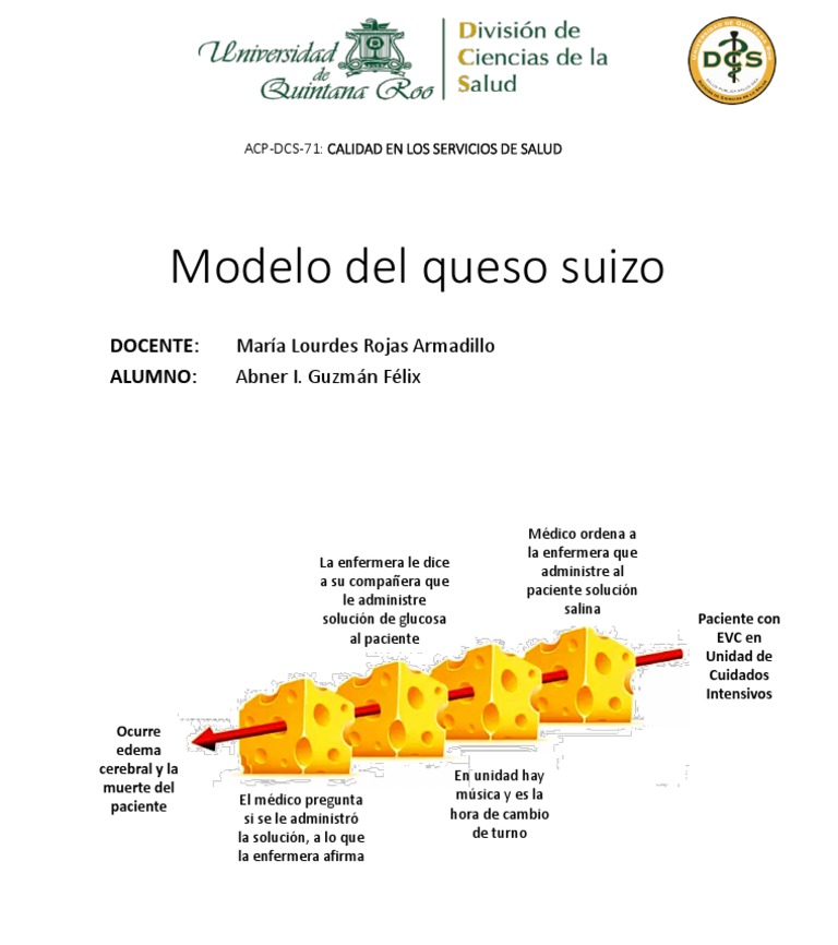 Modelo de Reason | PDF