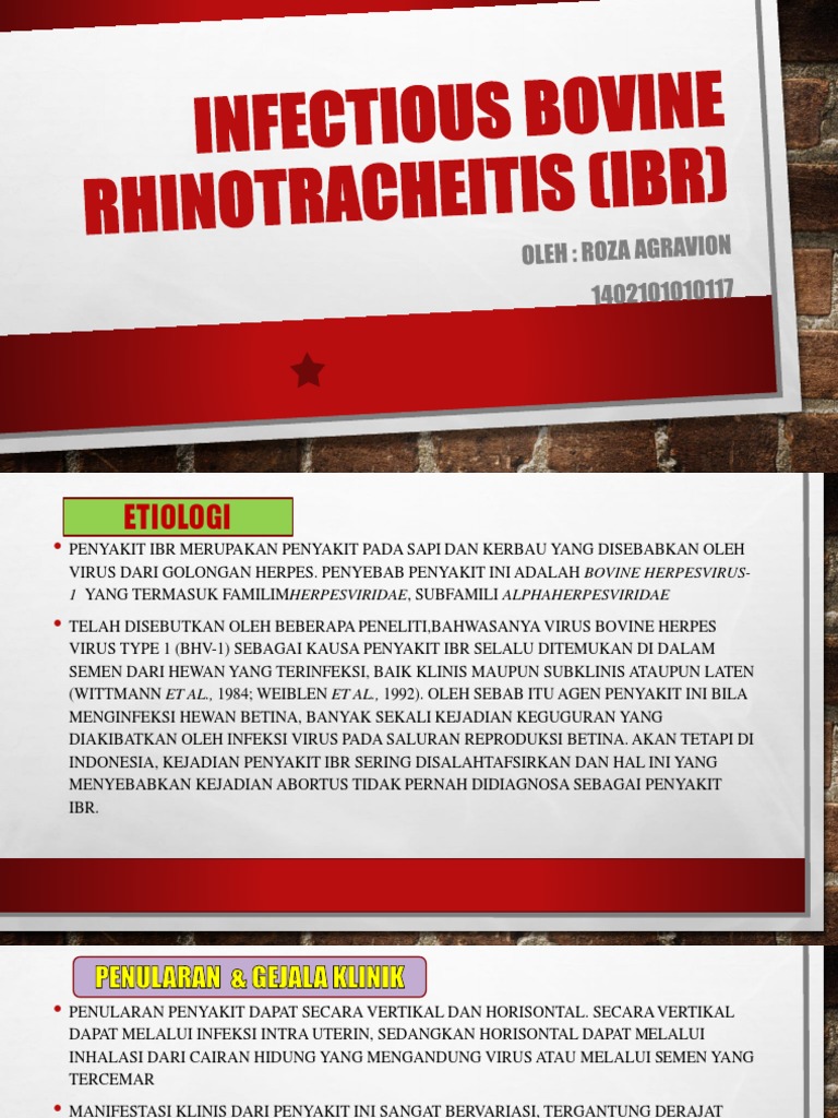 IBR | PDF
