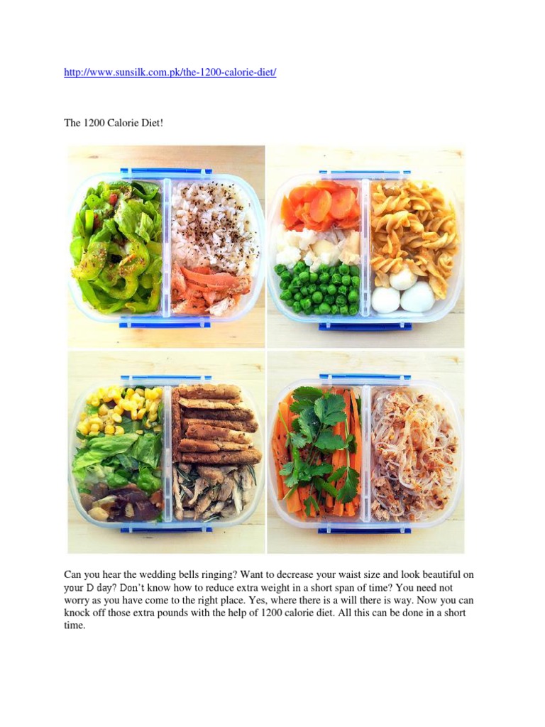 Diet Plan | PDF | Low Carbohydrate Diet | Dieting
