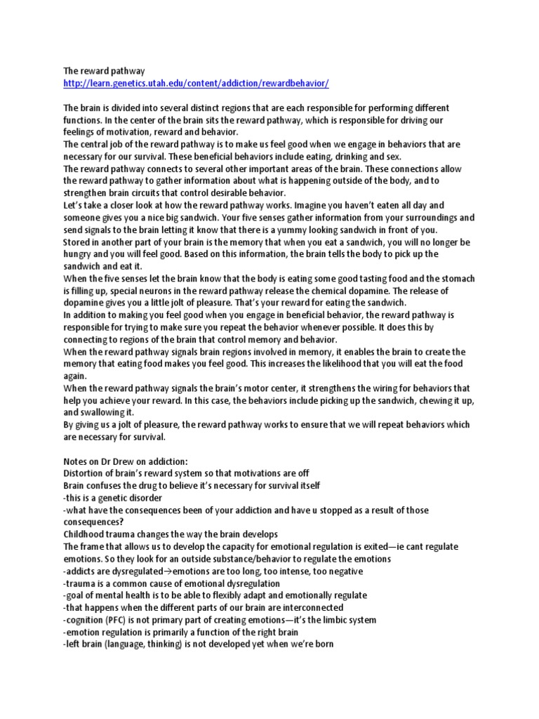 The Reward Pathway | PDF | Reward System | Dopamine