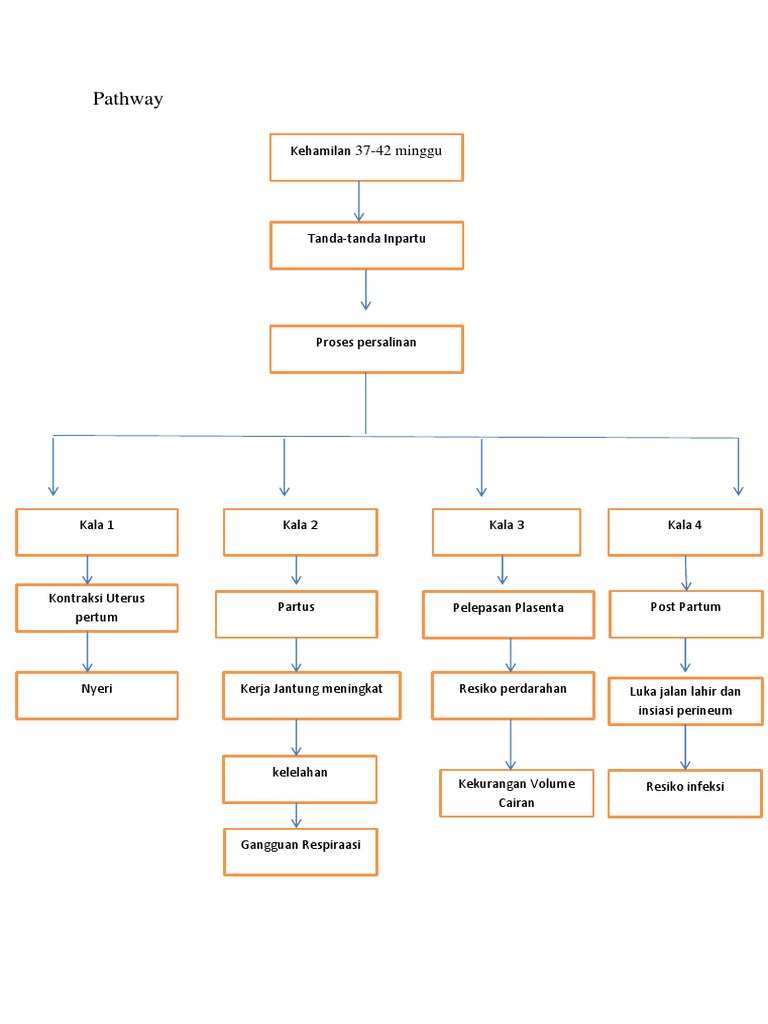 Pathway Intranatal | PDF