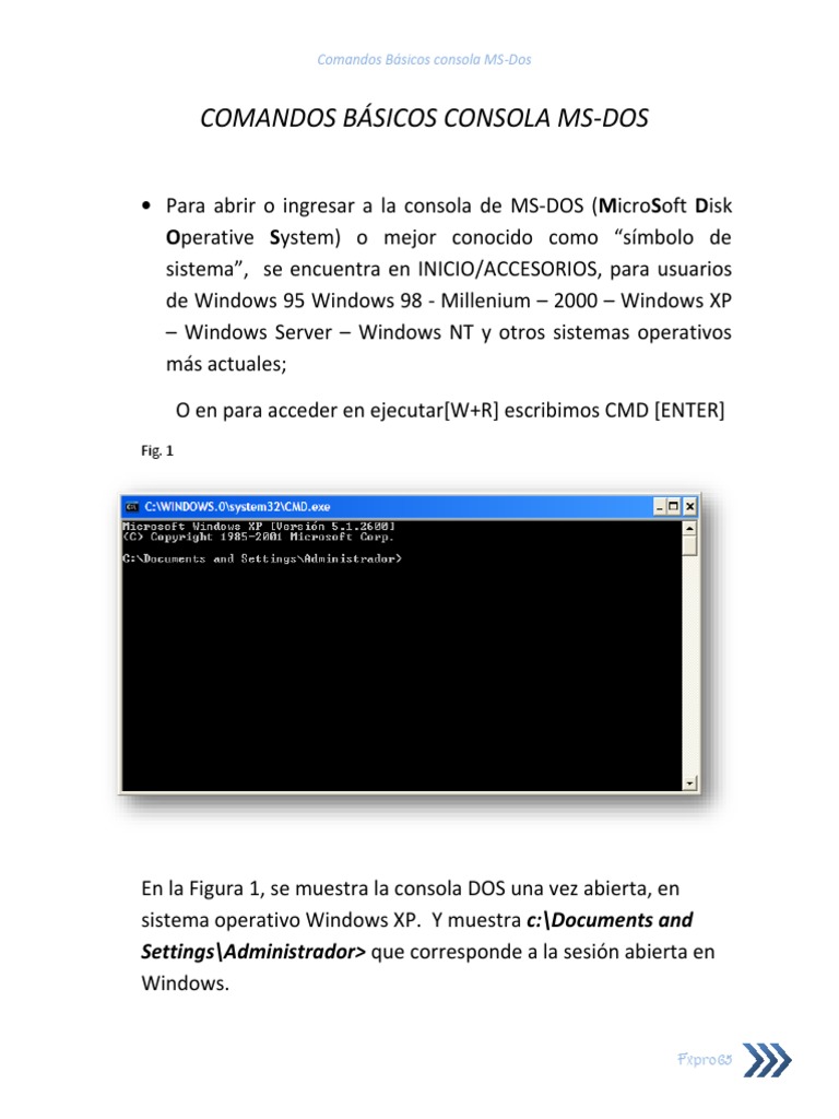 Comandos Basicos Dos (Ms-Dos) | PDF | Archivo de computadora | Microsoft Windows