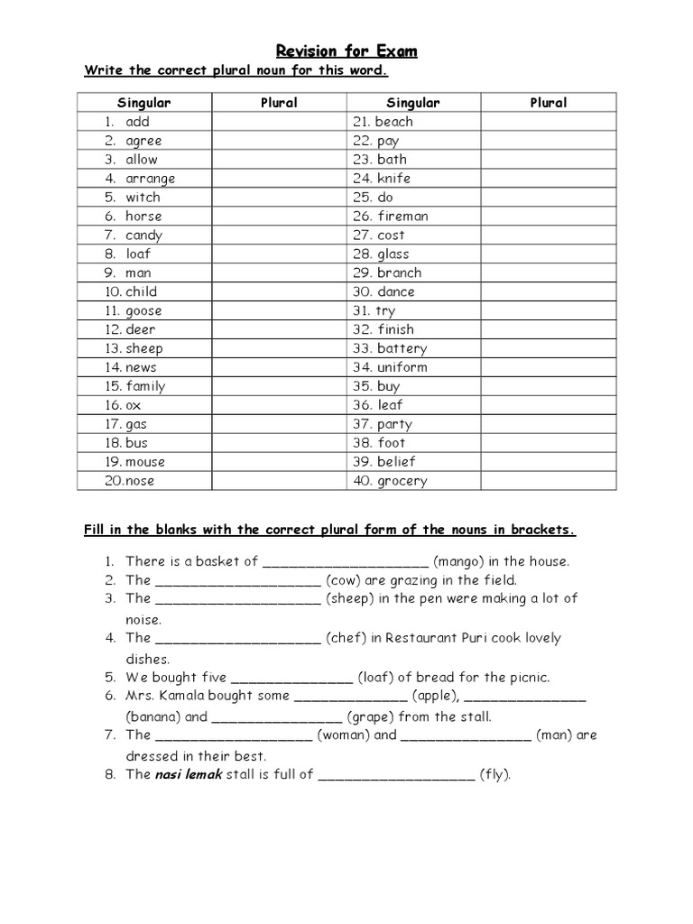 Write The Correct Plural Noun For This Word | PDF