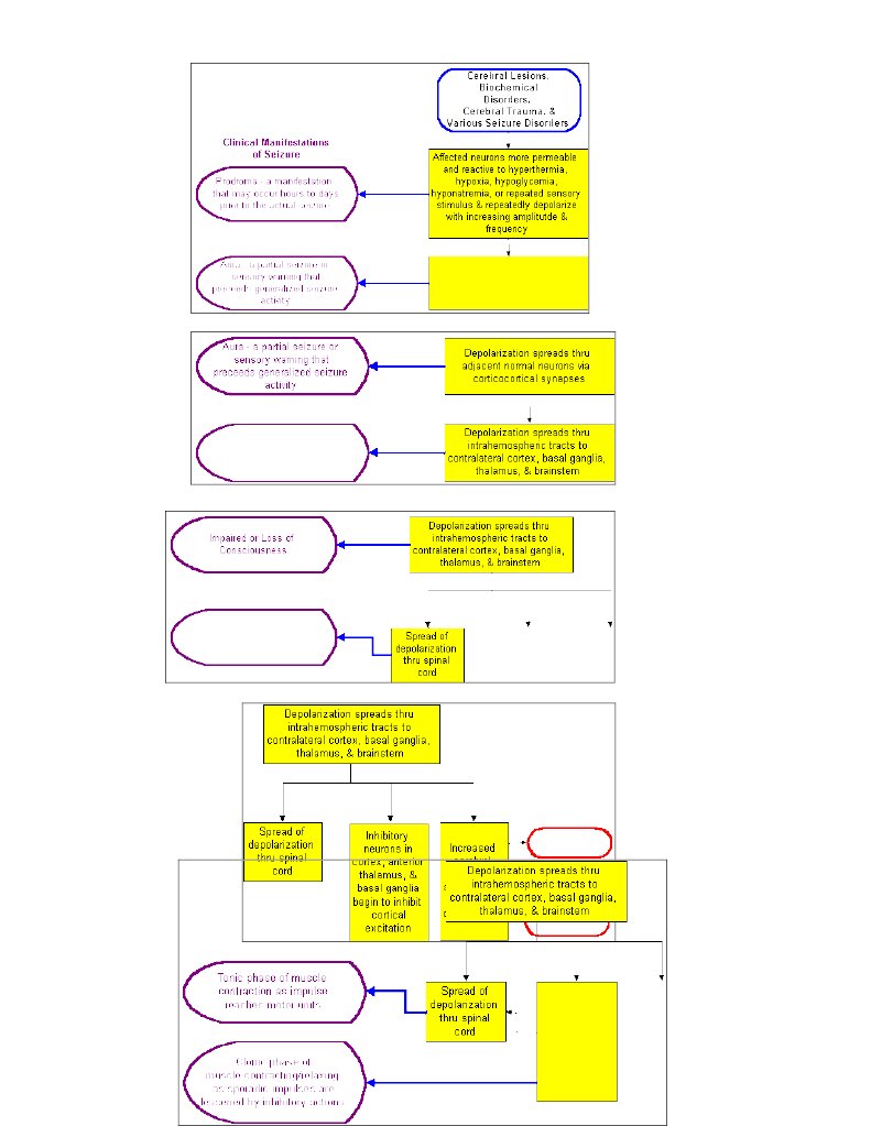 Pathophysiology of Seizures