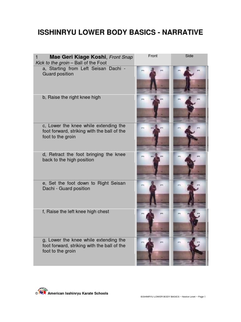 AIKS Instructional Materials - Isshinryu Basics - Lower Body ...