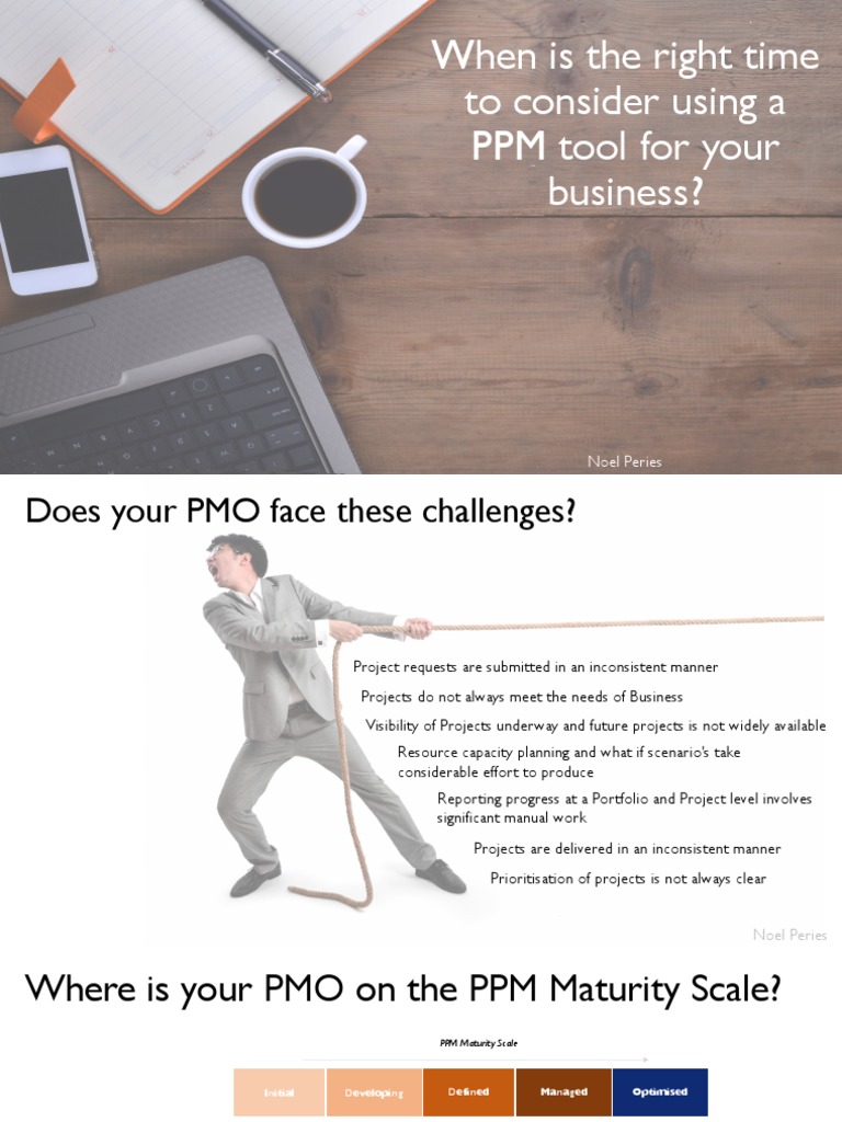 When Is The Right Time To Consider Using A PPM Tool For Your Business ...